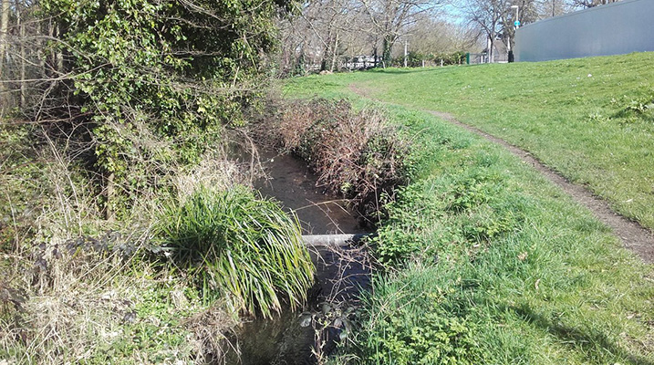 World Wetlands Day: A countdown from Slough part three | WWT