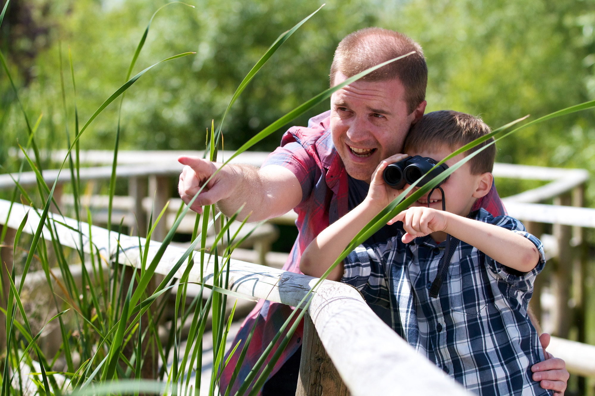 Dads Visit Free On Father's Day! | WWT Llanelli