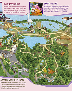 Plan your visit | WWT