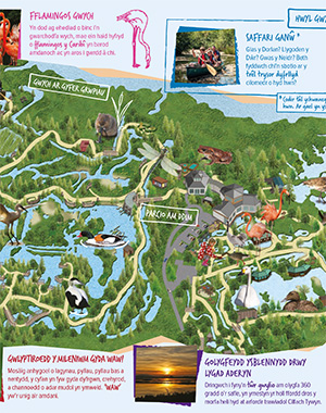 Plan your visit | WWT