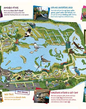 Experience London Wetland Centre | WWT