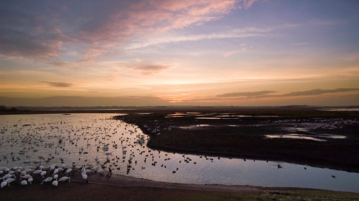 Martin Mere Wetland Centre | WWT