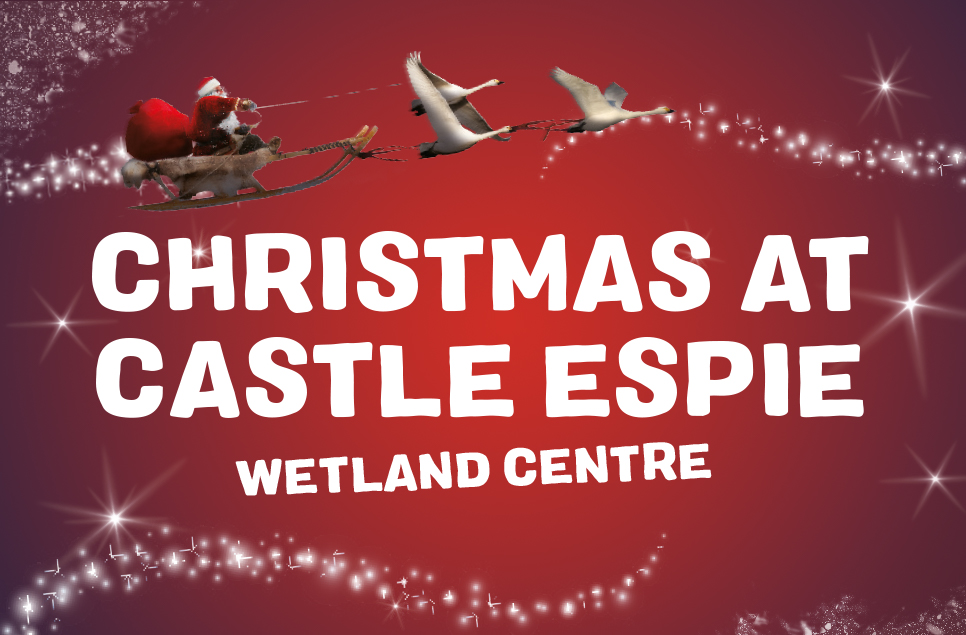 Castle Espie Wetland Centre | WWT
