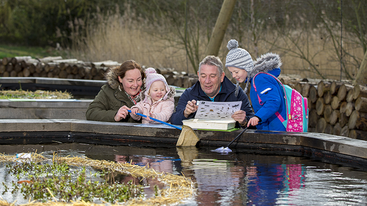 Pond dipping | WWT