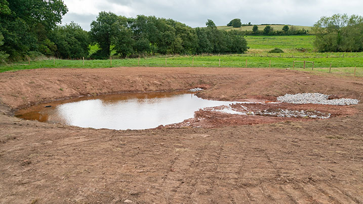 Natural flood management methods | WWT