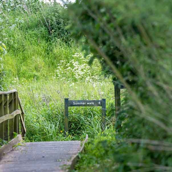 Welney Wetland Centre | WWT