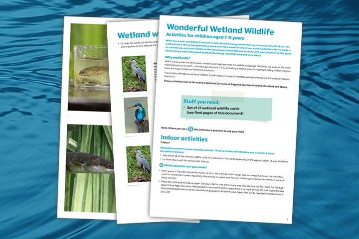 Fun and learning | WWT