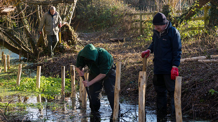 How wetlands help keep rivers clean (and how you can too) | WWT