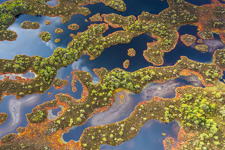 Wetland habitats | WWT