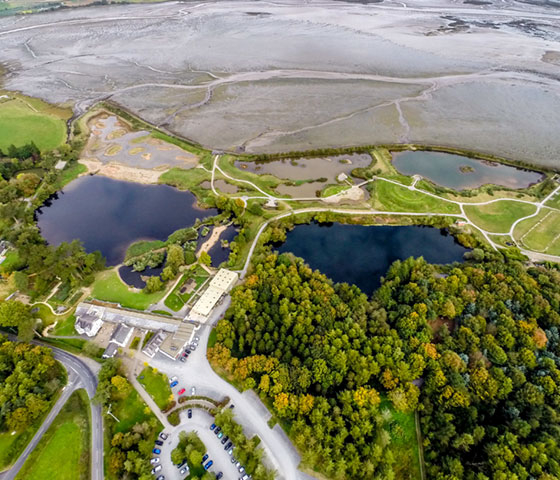 Castle Espie Wetland Centre | WWT