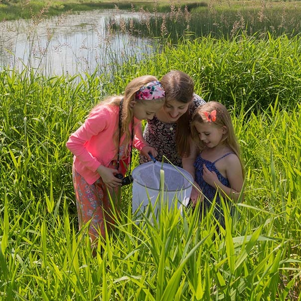 Llanelli Wetland Centre | WWT