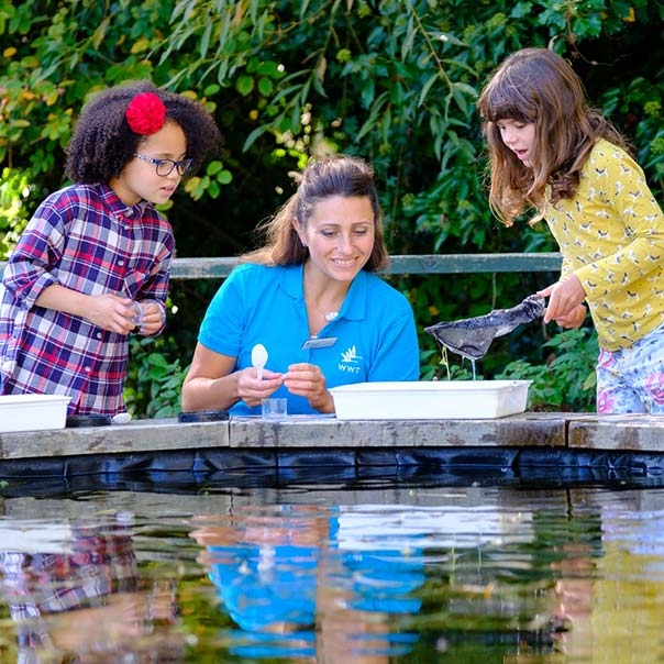 Llanelli Wetland Centre | WWT