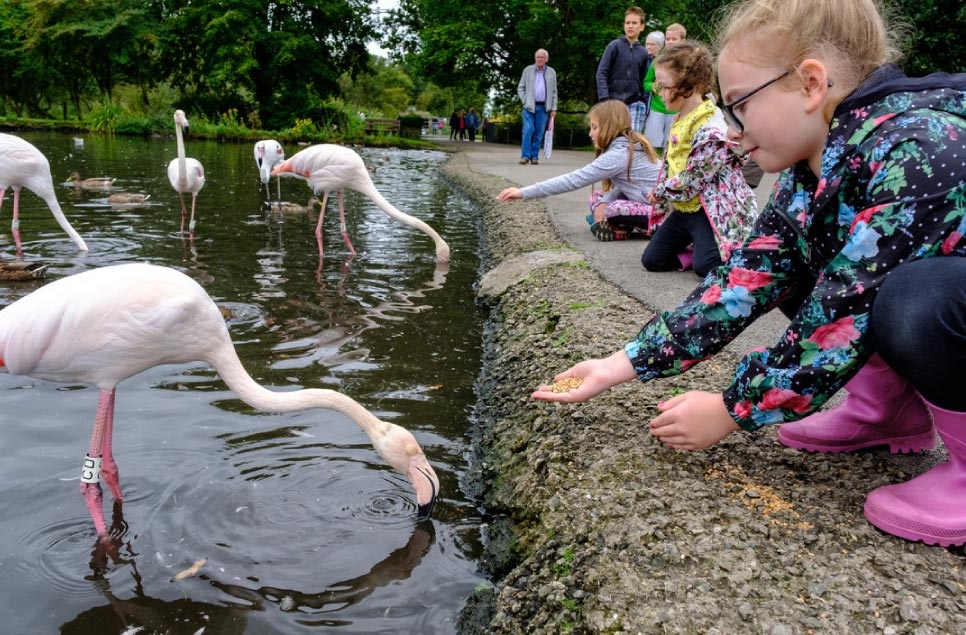Martin Mere Wetland Centre | WWT
