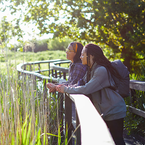 Visit a WWT Wetland Centre | WWT