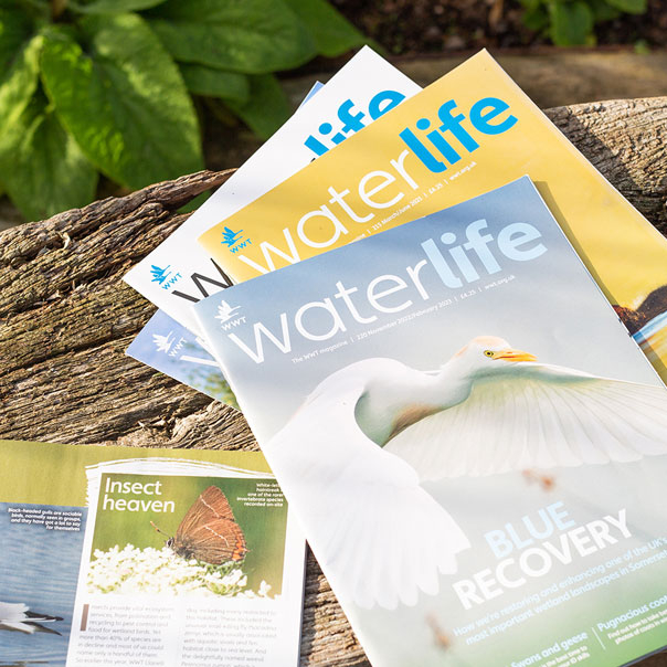 Join for life | WWT