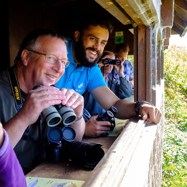 Visit a WWT Wetland Centre | WWT