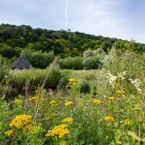 Visit a WWT Wetland Centre | WWT