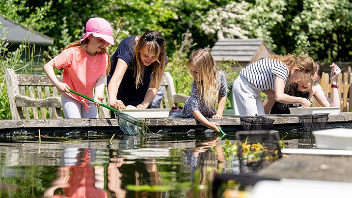 For the family | WWT