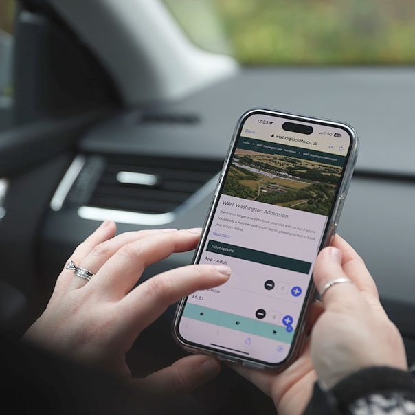 WWT Washington App | WWT