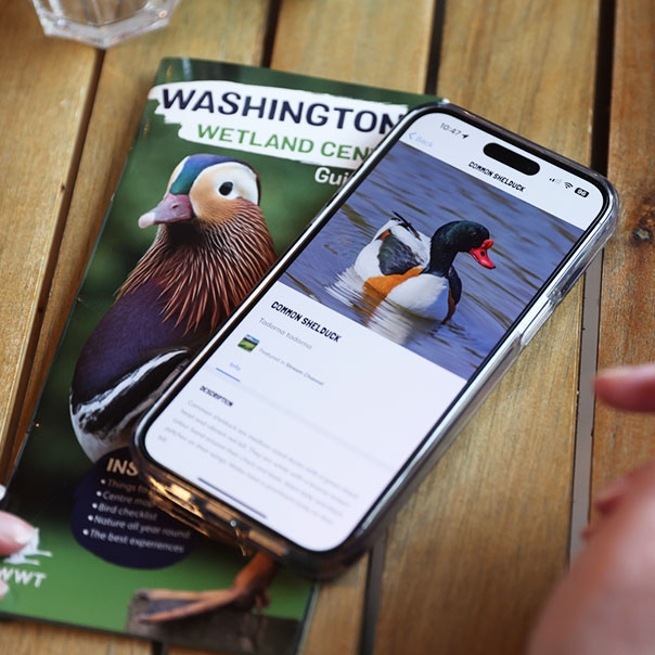 WWT Washington App | WWT