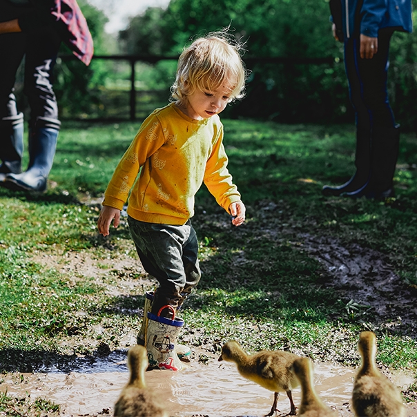 Visit a WWT Wetland Centre | WWT