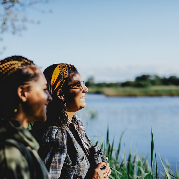 Visit a WWT Wetland Centre | WWT