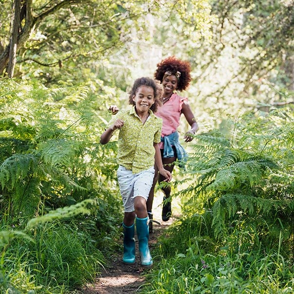 Visit a WWT Wetland Centre | WWT