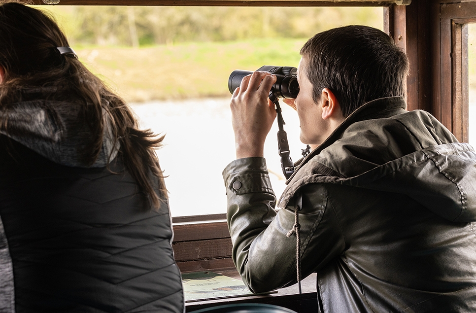 Optics Demo Event | WWT Washington