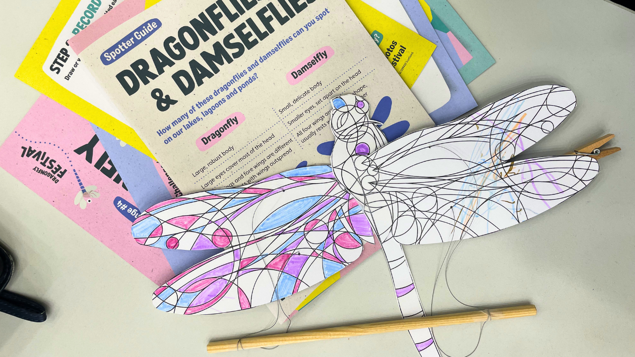 Dragonfly Arts & Crafts | WWT London